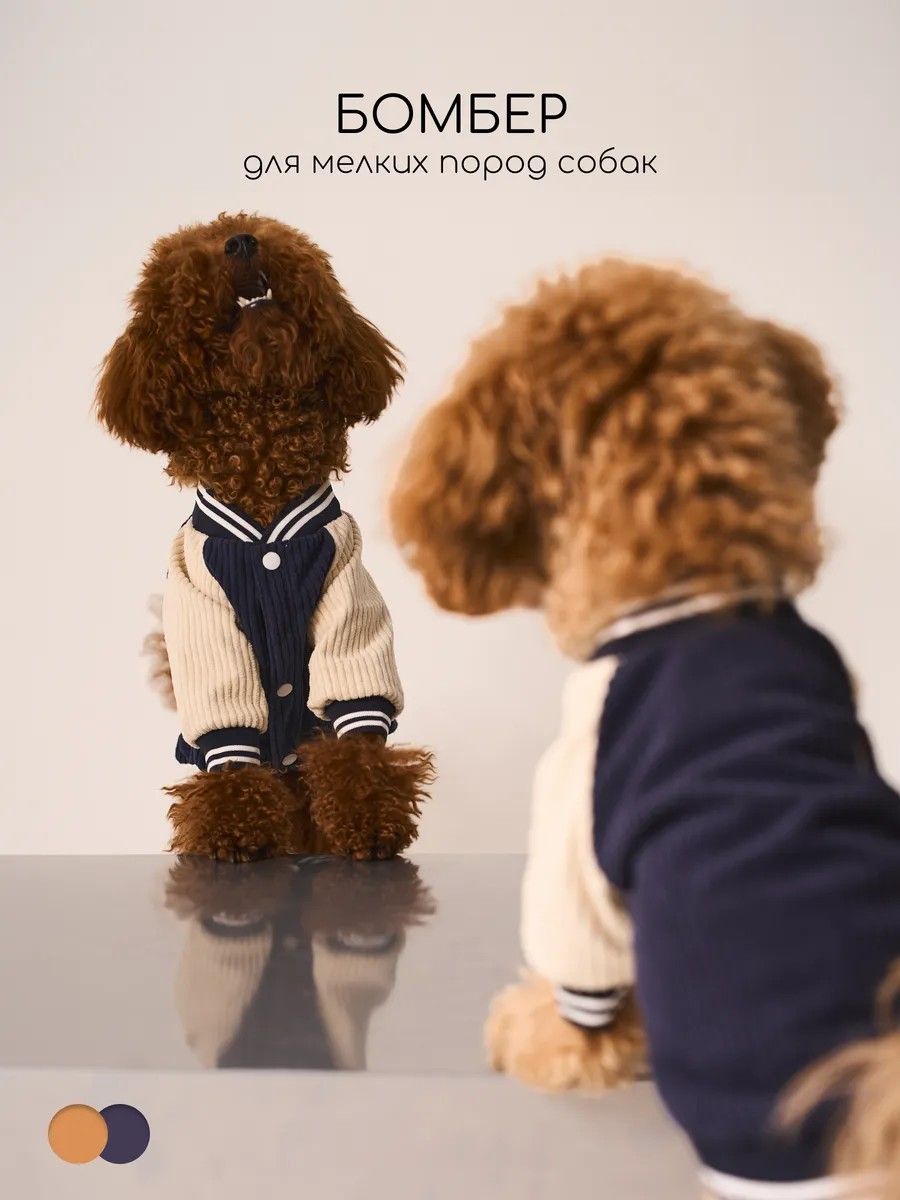 Кофта для собак и кошек / размер S Family Pet/ Одежда для собак мелких пород