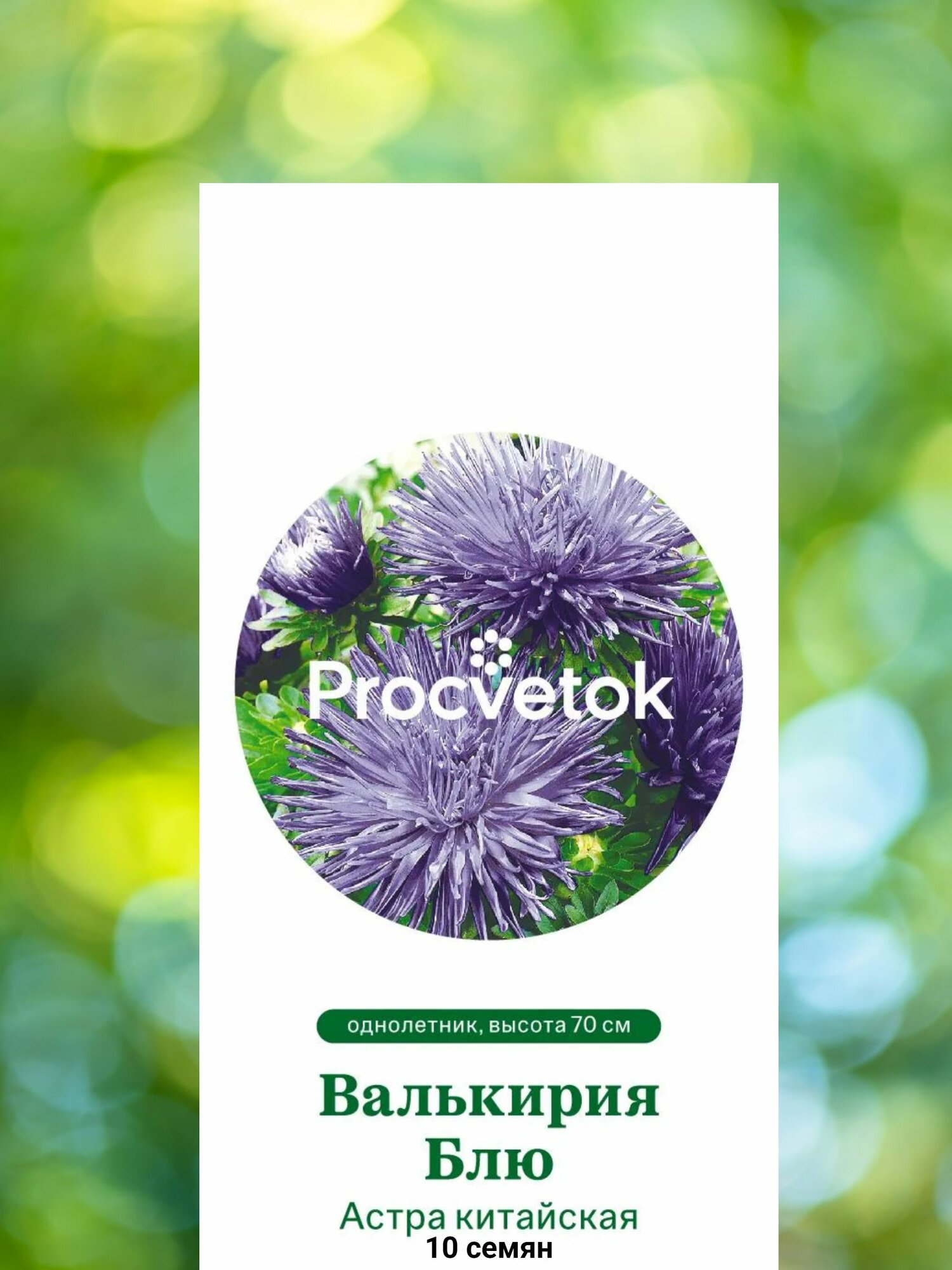 Семена Астра китайская Валькирия Блю процветок