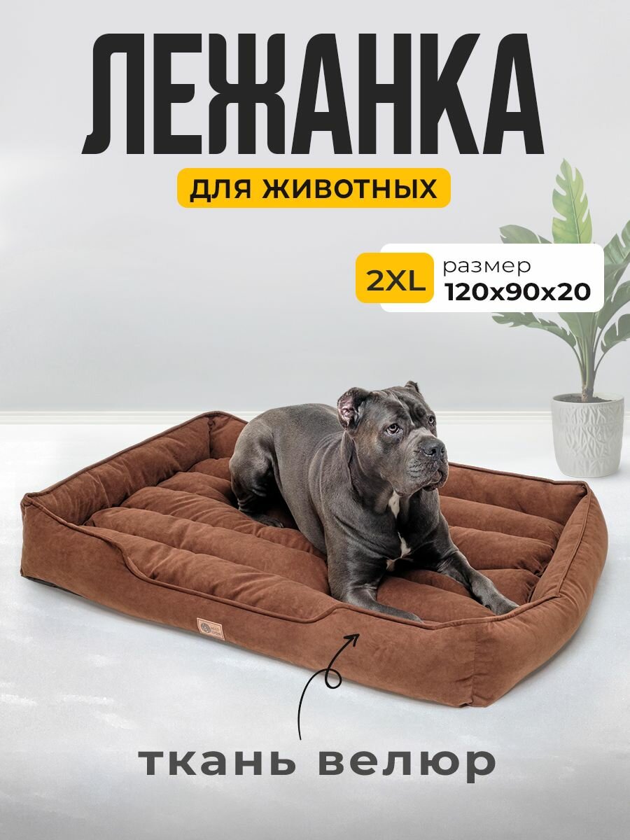 Лежанка для собак крупных пород с бортиками Mad Lion Велюр 120х90 см