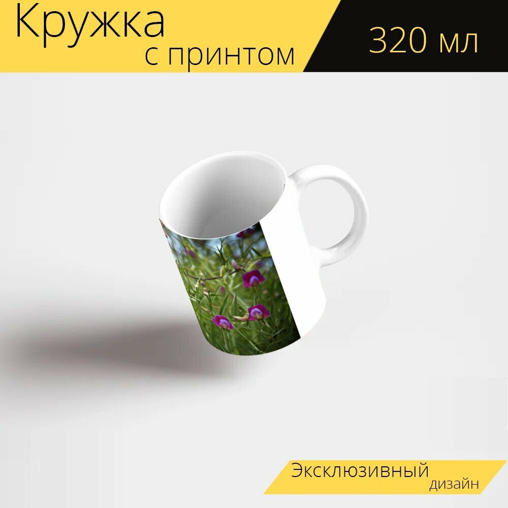 Кружка с рисунком, принтом "Lathyrus clymenum, камешек, горох" 320 мл.