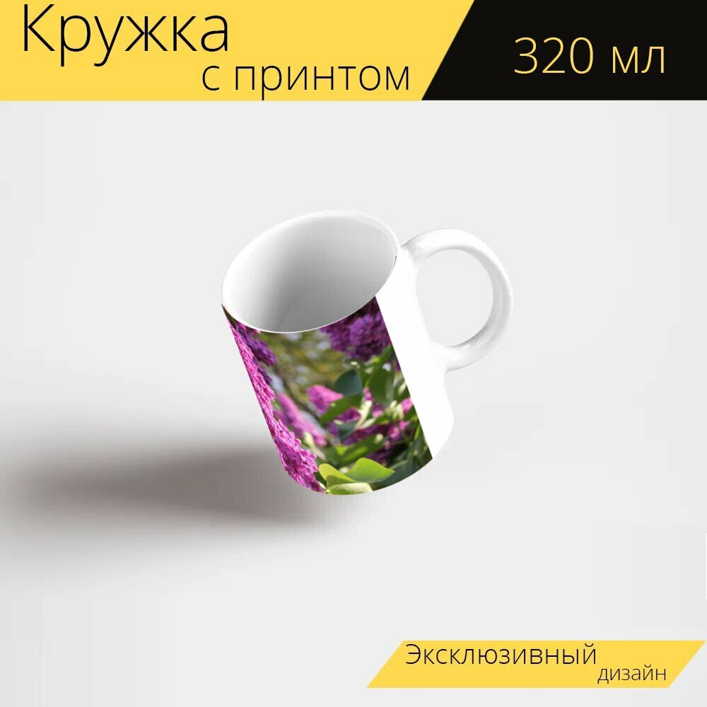 Кружка с рисунком, принтом "Сирень обыкновенная, syringa vulgaris, фиолетовый" 320 мл.