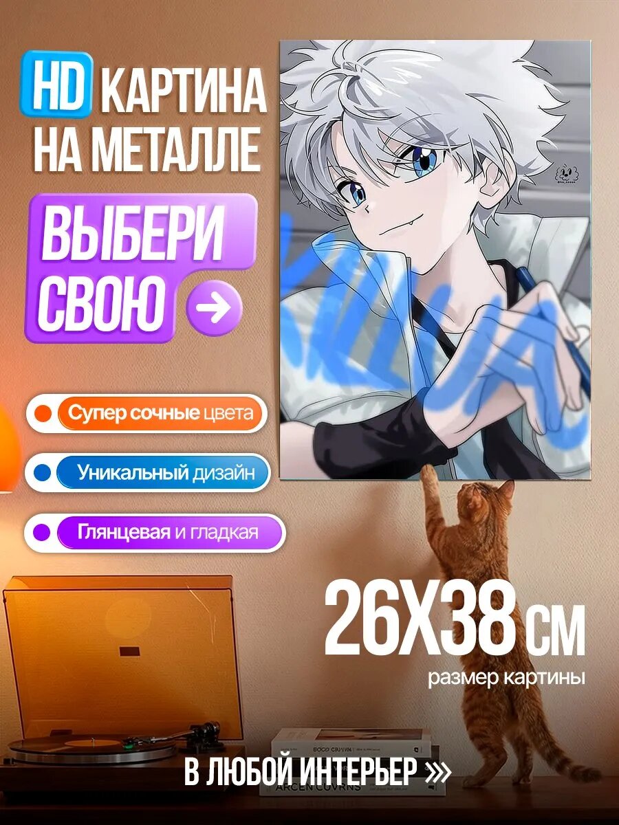 Картина на HD металле Киллуа Зольдик