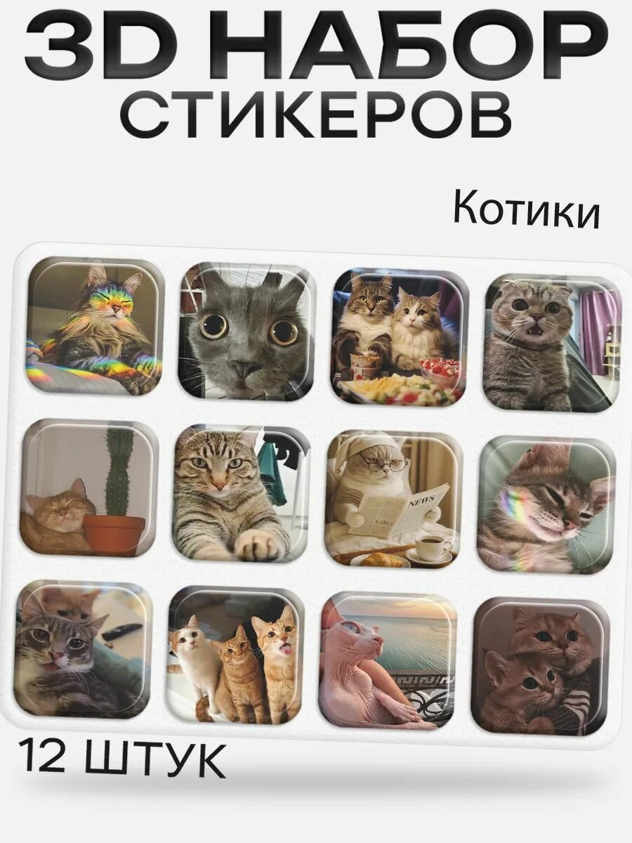 3D стикеры на телефон котики