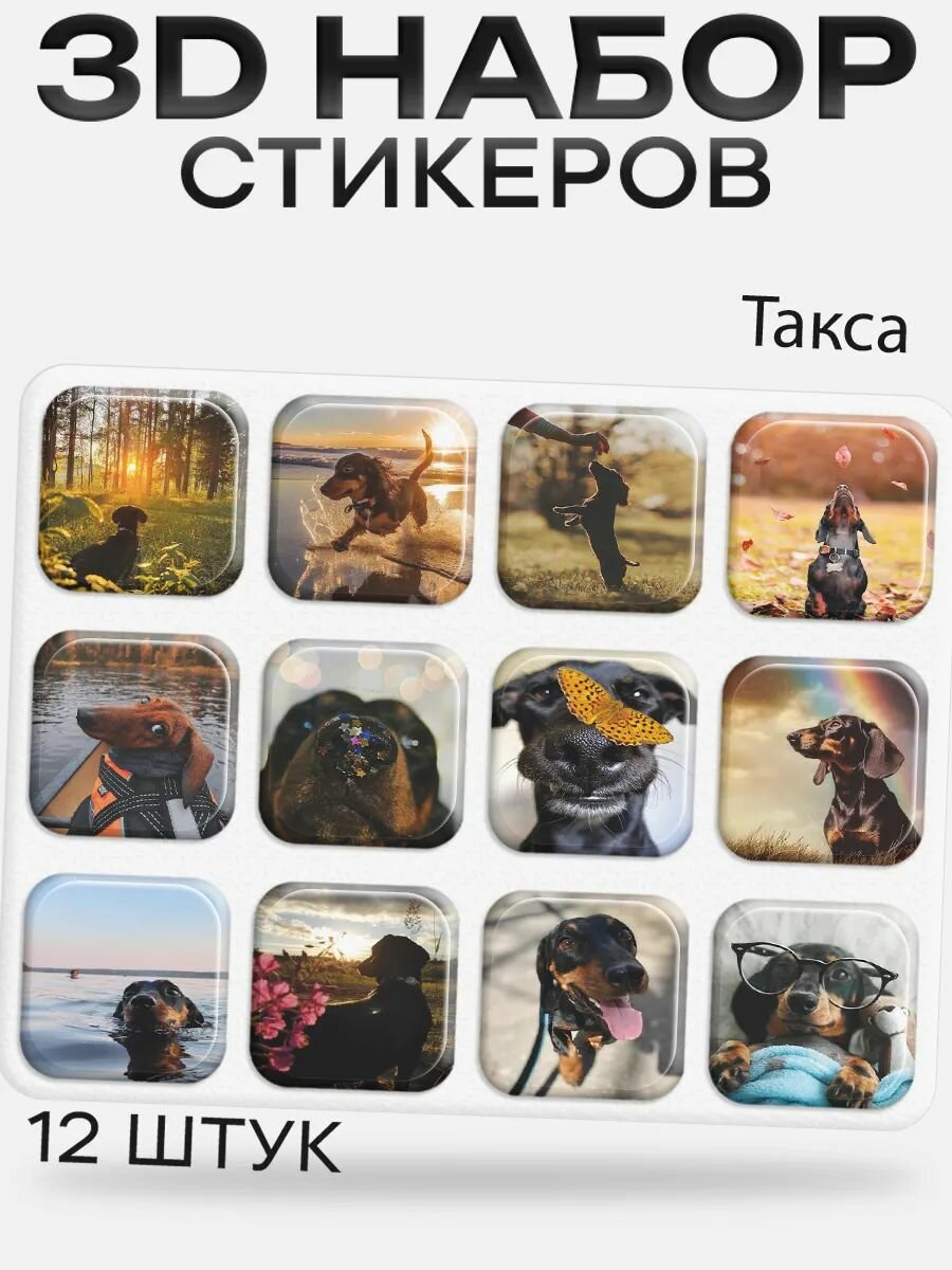 3D стикеры на телефон Такса