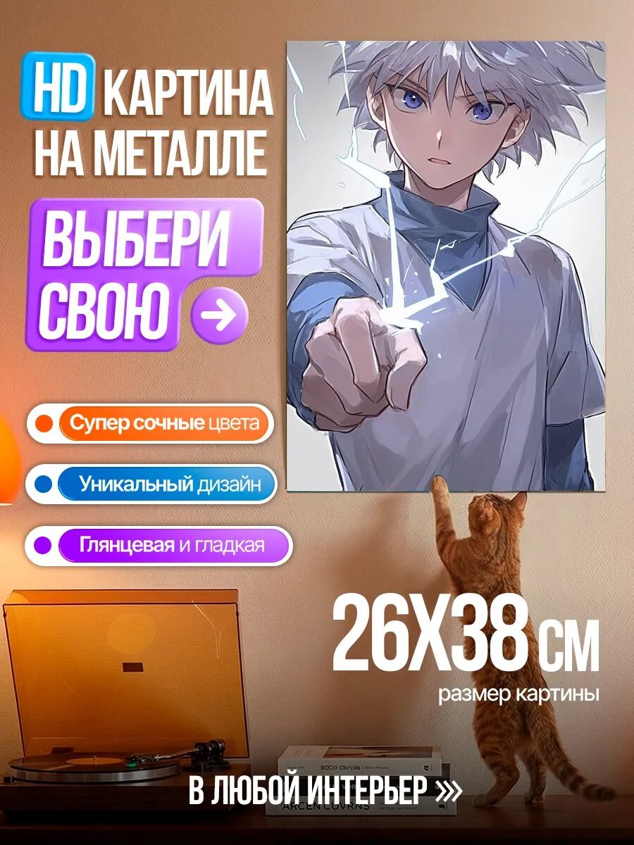 Картина на HD металле Киллуа Молния