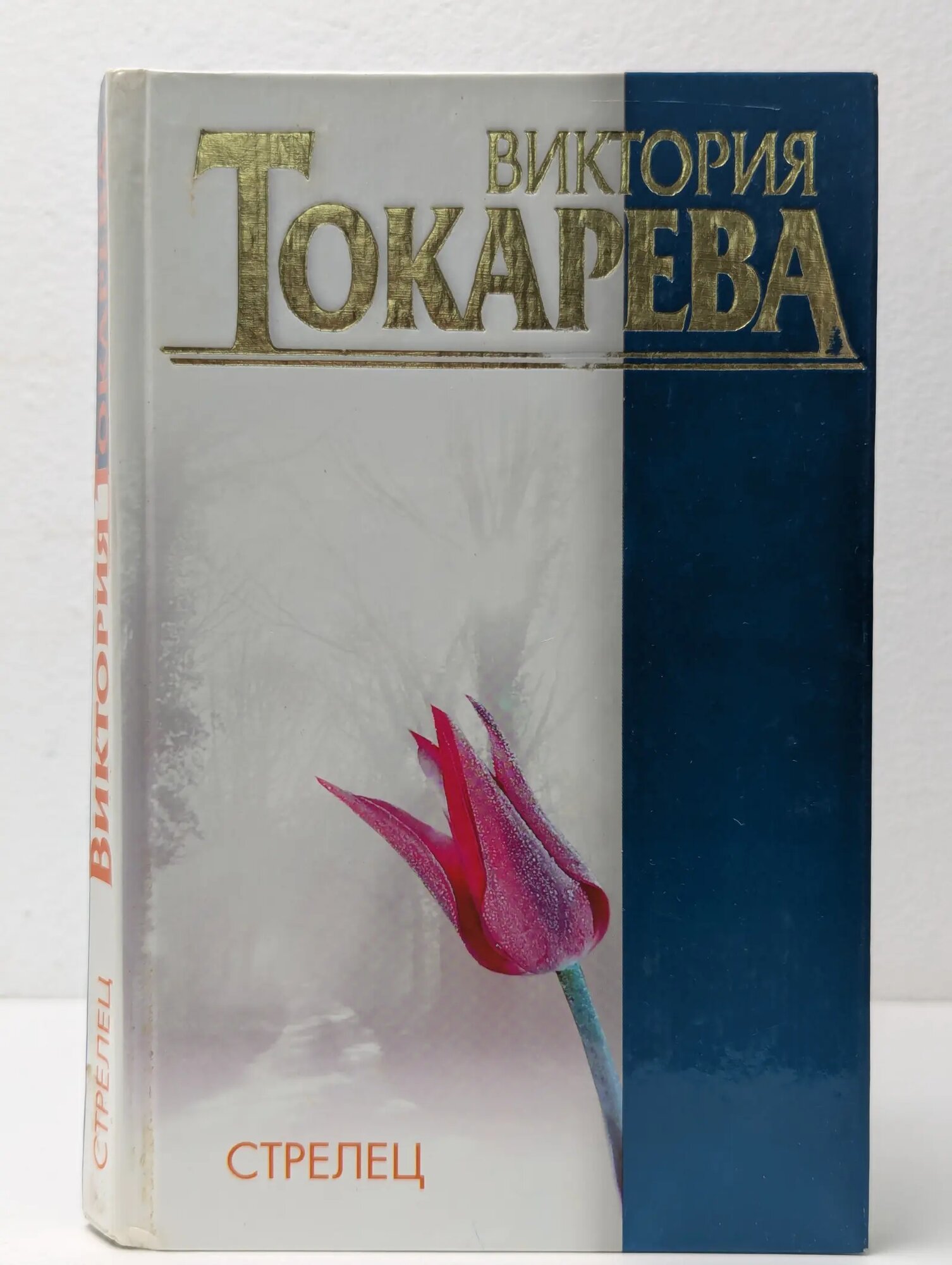 Стрелец Токарева Виктория Самойловна 2001