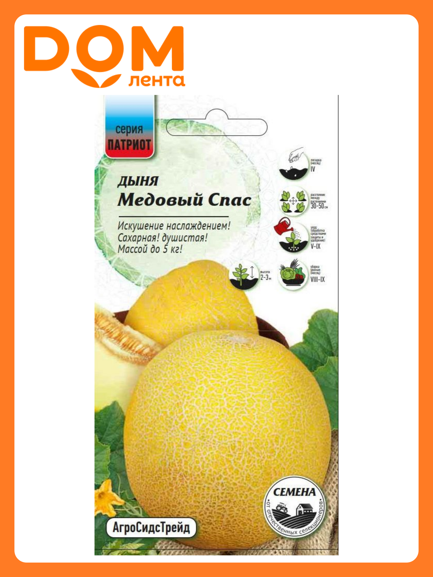 Дыня Медовый Спас 10 шт патриот