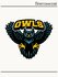 Термонаклейка для одежды и аксессуаров DTF-печать сова