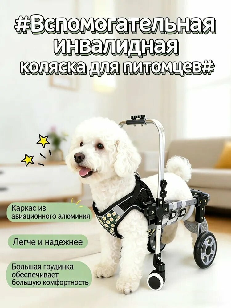 Инвалидная коляска для собак и кошек, регулируемая, легкая, задних лап, новинка 2026