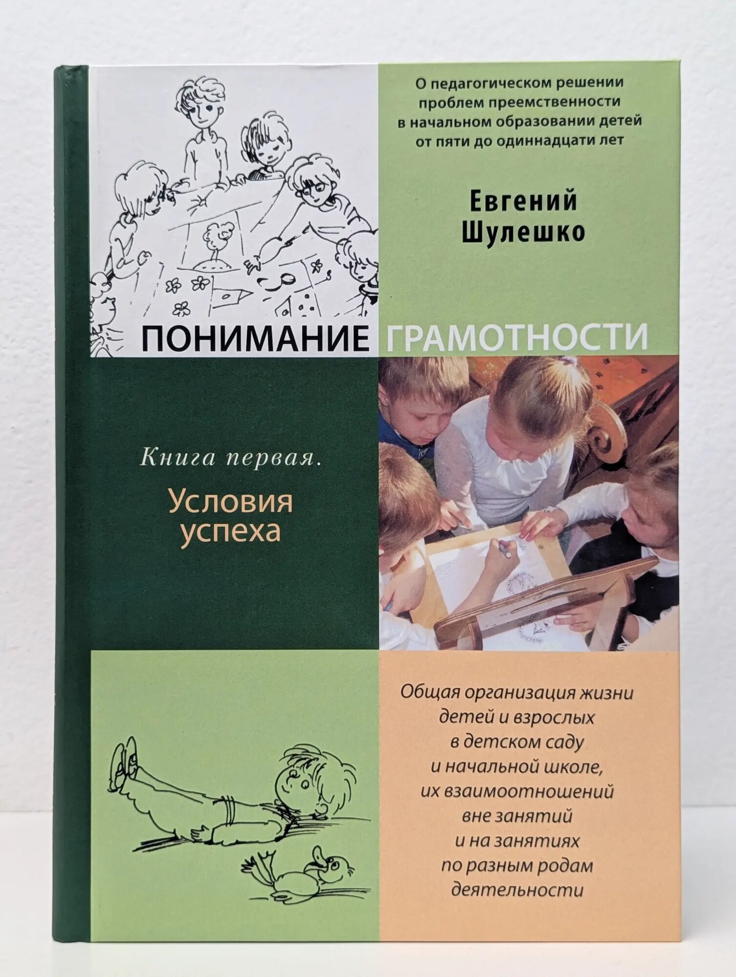 Понимание грамотности. Книга 1. Условия успеха Шулешко Евгений Евгеньевич 2011