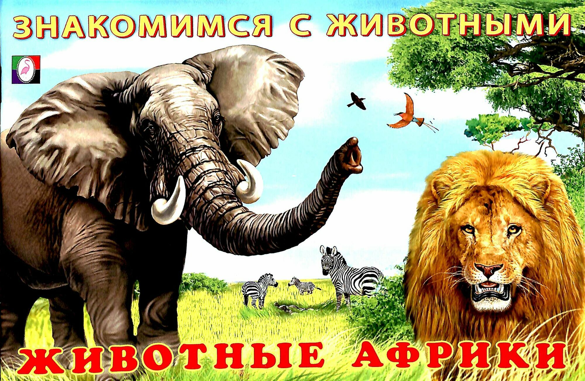 ЗнакомимсяСЖивотными Животные Африки, Арт.27698, (Фламинго, 2021), Обл, c.16 ()