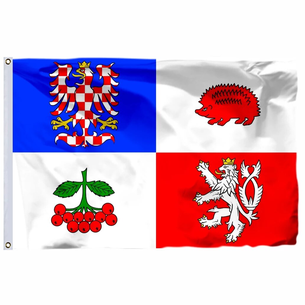 Флаг Чехии 45x30см, Красный, Vysocina Region