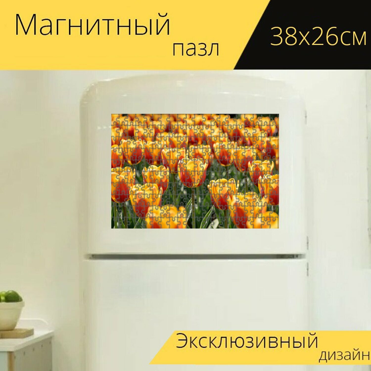 Магнитный пазл "Поле оранжево-желтых тюльпанов. Яркие весенние цветы в солнечном саду, крупный план, мягкое боке, природный цветочный фон в теплых." для интерьера, 38х26 см.