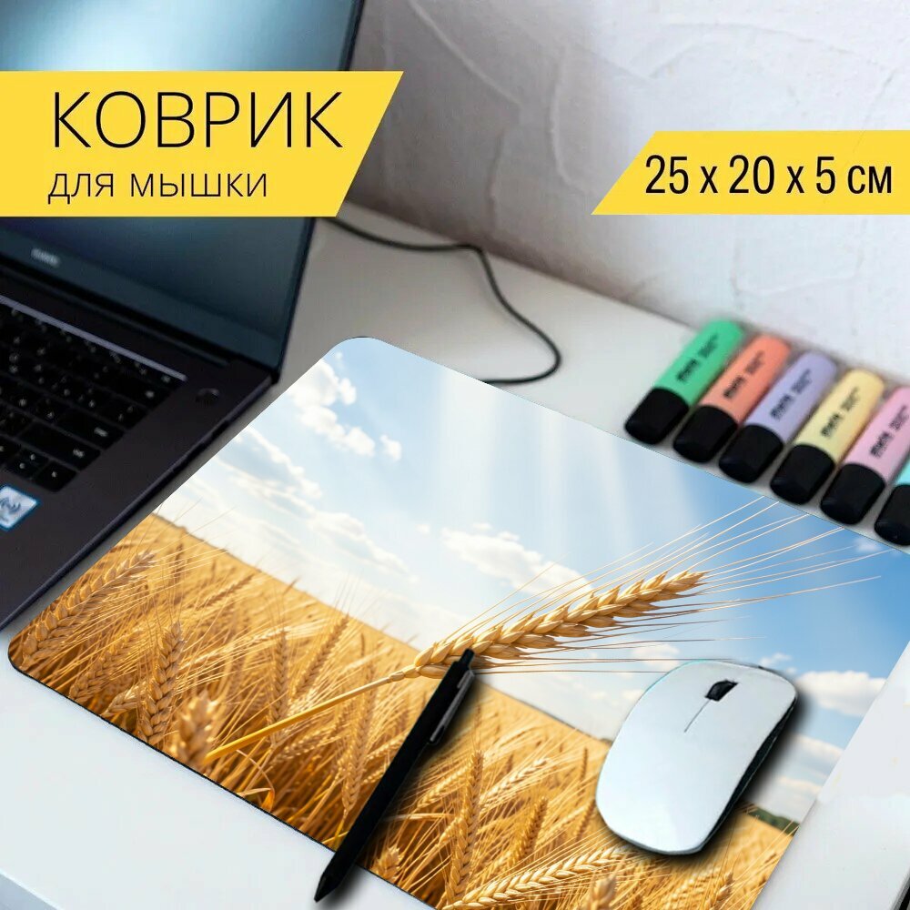 Коврик для мыши с принтом "Колос пшеницы в поле. Золотистая нива под голубым небом с мягкими облаками и солнечными лучами. Крупный план спелого злака, летний сельский." 25x20см.