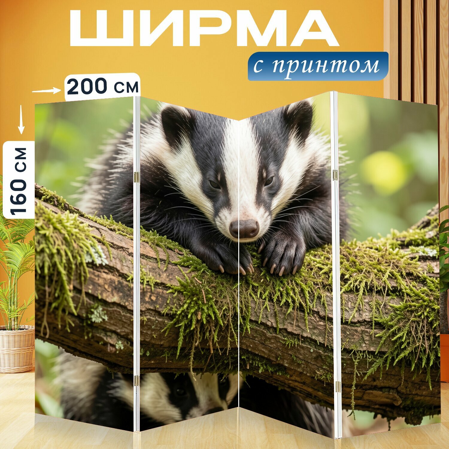 Ширма "Барсуки на лесной ветке. Два черно-белых зверька в природной среде, крупный план, мох, кора дерева." перегородка для зонирования комнаты с принтом 200x160 см. на холсте