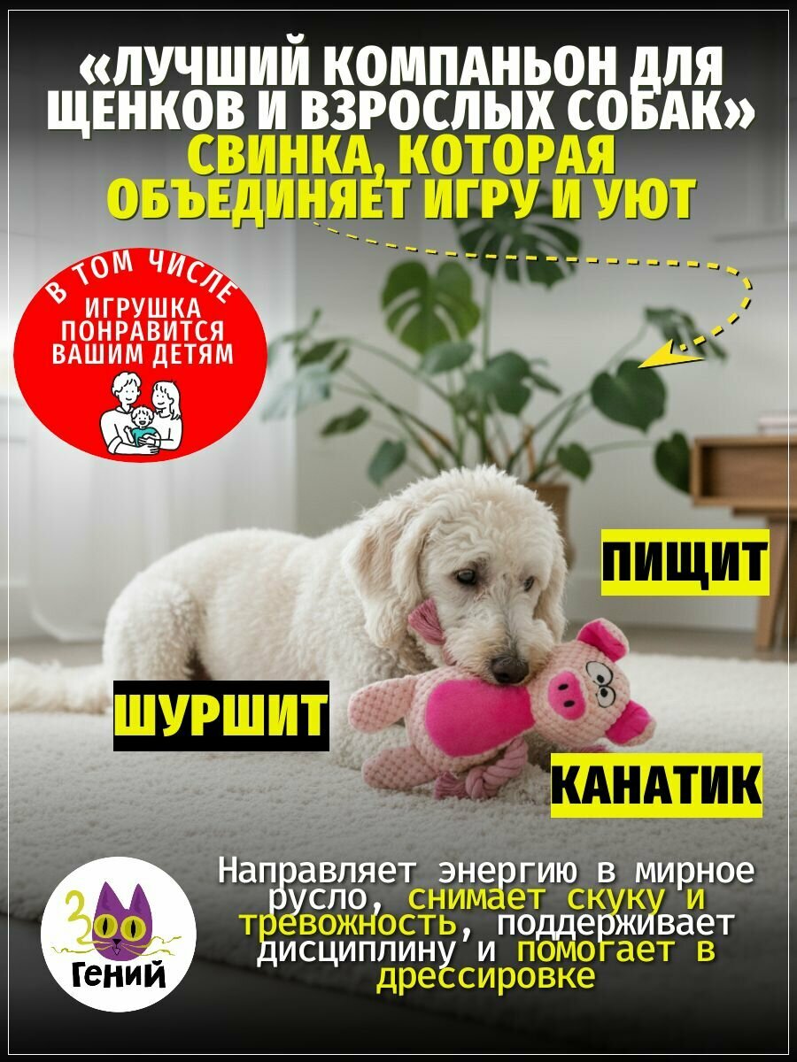 Игрушка Поросёнок для собак и щенков с пищалкой и канатами, плюшевая жевательная, для мелких и средних пород, интерактивная игрушка для игр, дрессировки, гигиены зубов и снятия стресса