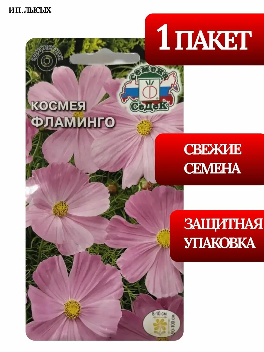 Семена Космея "Фламинго"