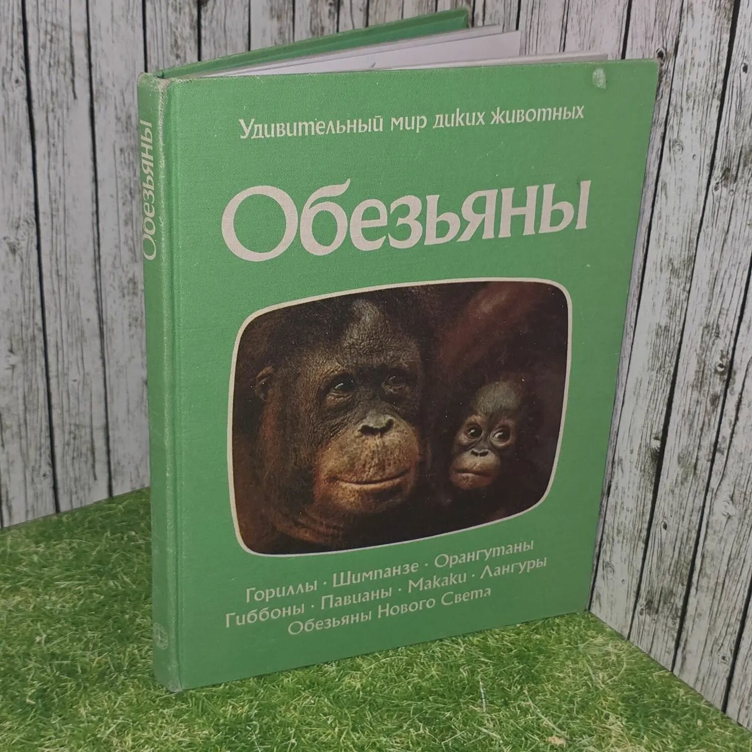 Обезьяны. Удивительный мир диких животных.