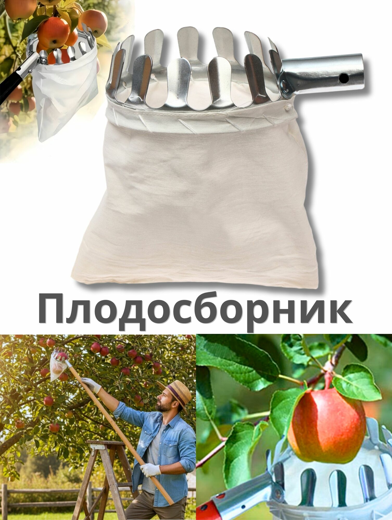 Плодосъёмник