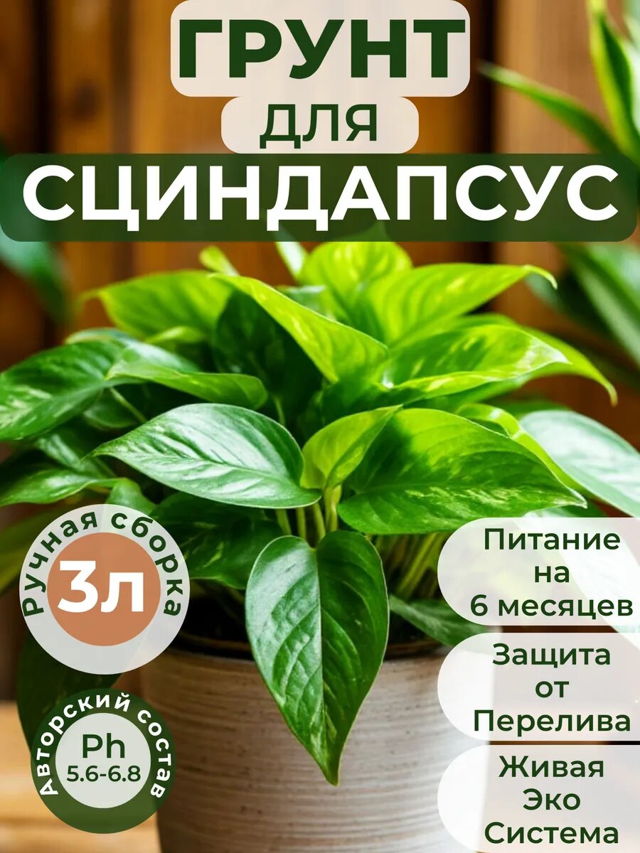 Готовый авторский грунт для Сциндапсуса, премиум 3 литра