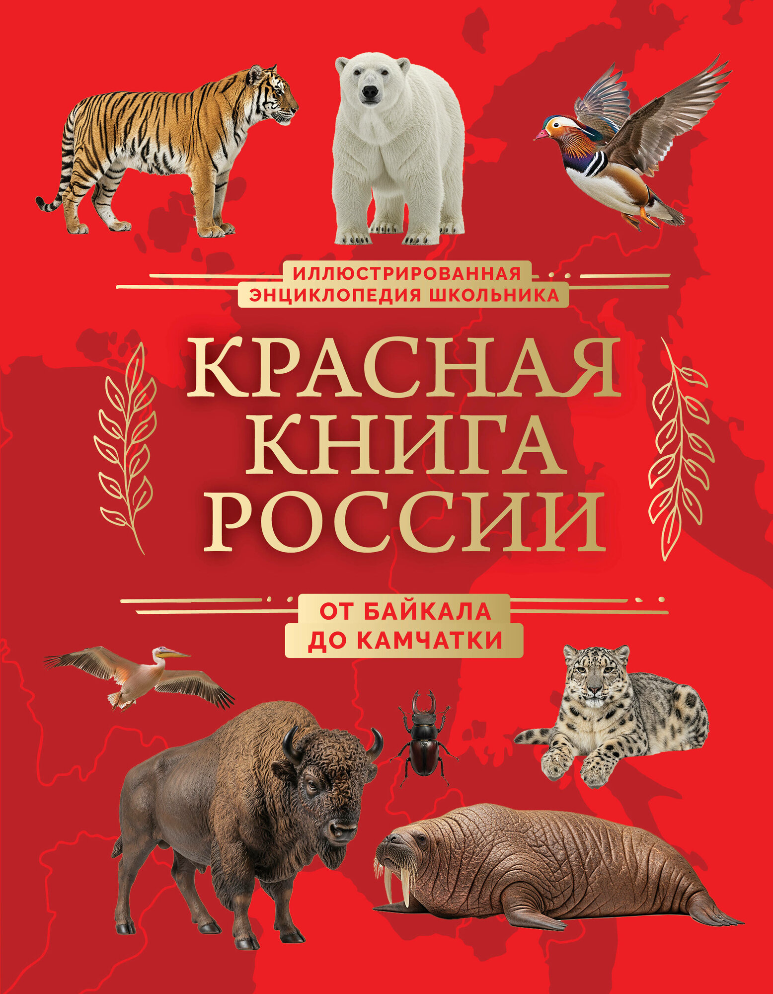 Книга "Красная книга России. От Байкала до Камчатки. Иллюстрированная энциклопедия школьника", автор Добрыня Ю. М, издательство Эксмо
