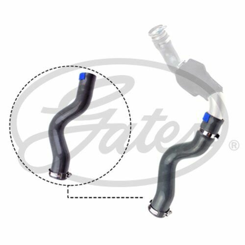 Патрубок турбосистемы OPEL Vivaro 2.5D 08/06-07/14 Gates 090535 для Opel Vivaro; Renault Trafic II