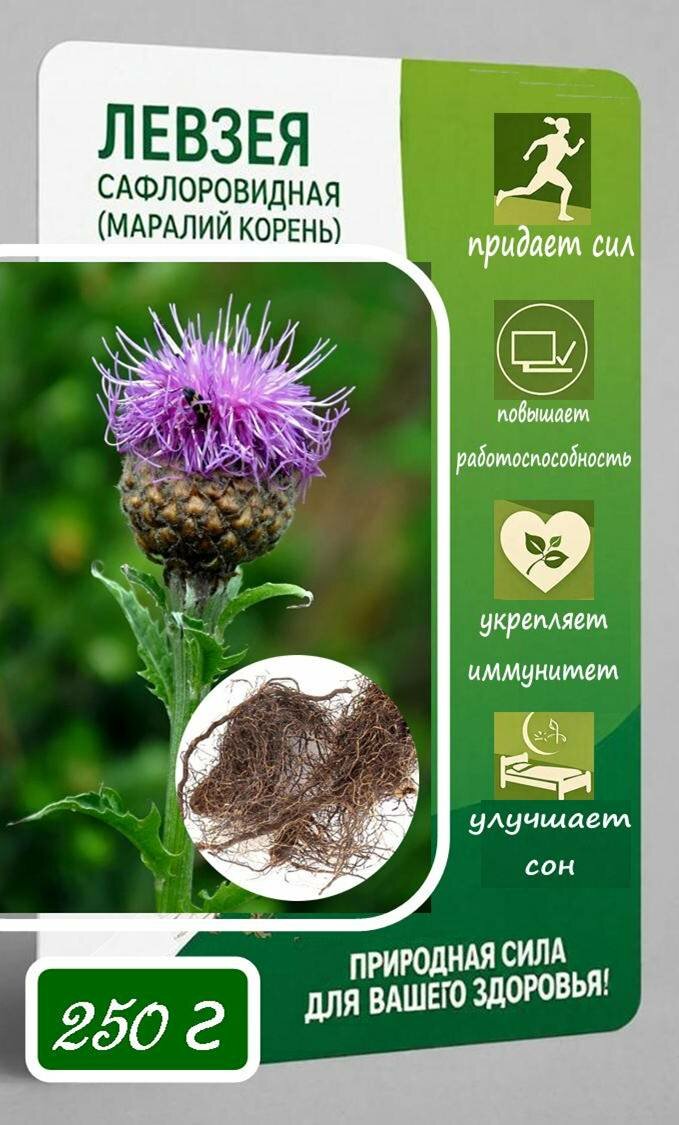 Левзея сафлоровидная (маралий корень), цельный, для укрепления мужского здоровья, АлтайМир, 250 г