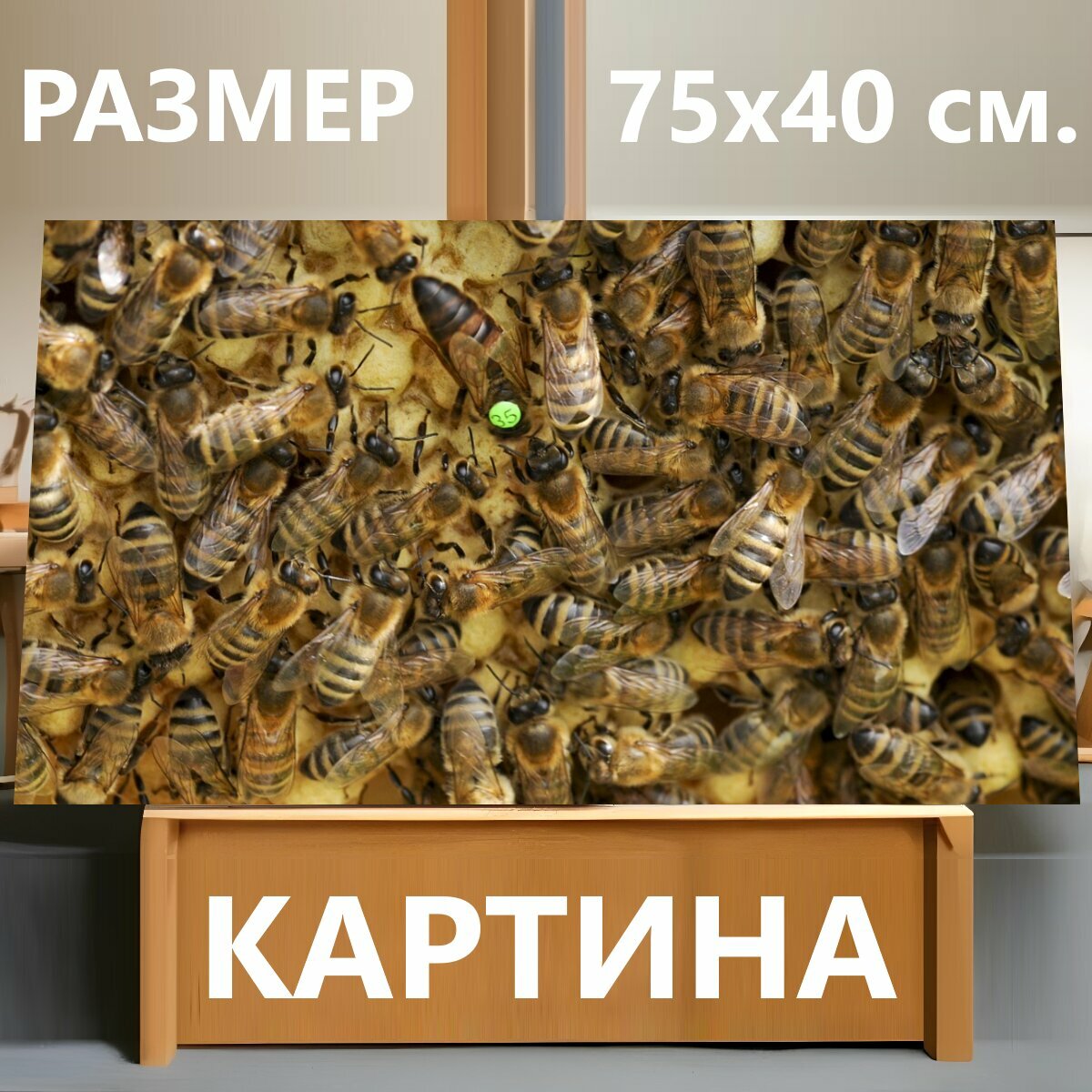 Картина на холсте "Пчелы, матка, улей" на подрамнике 75х40 см. для интерьера