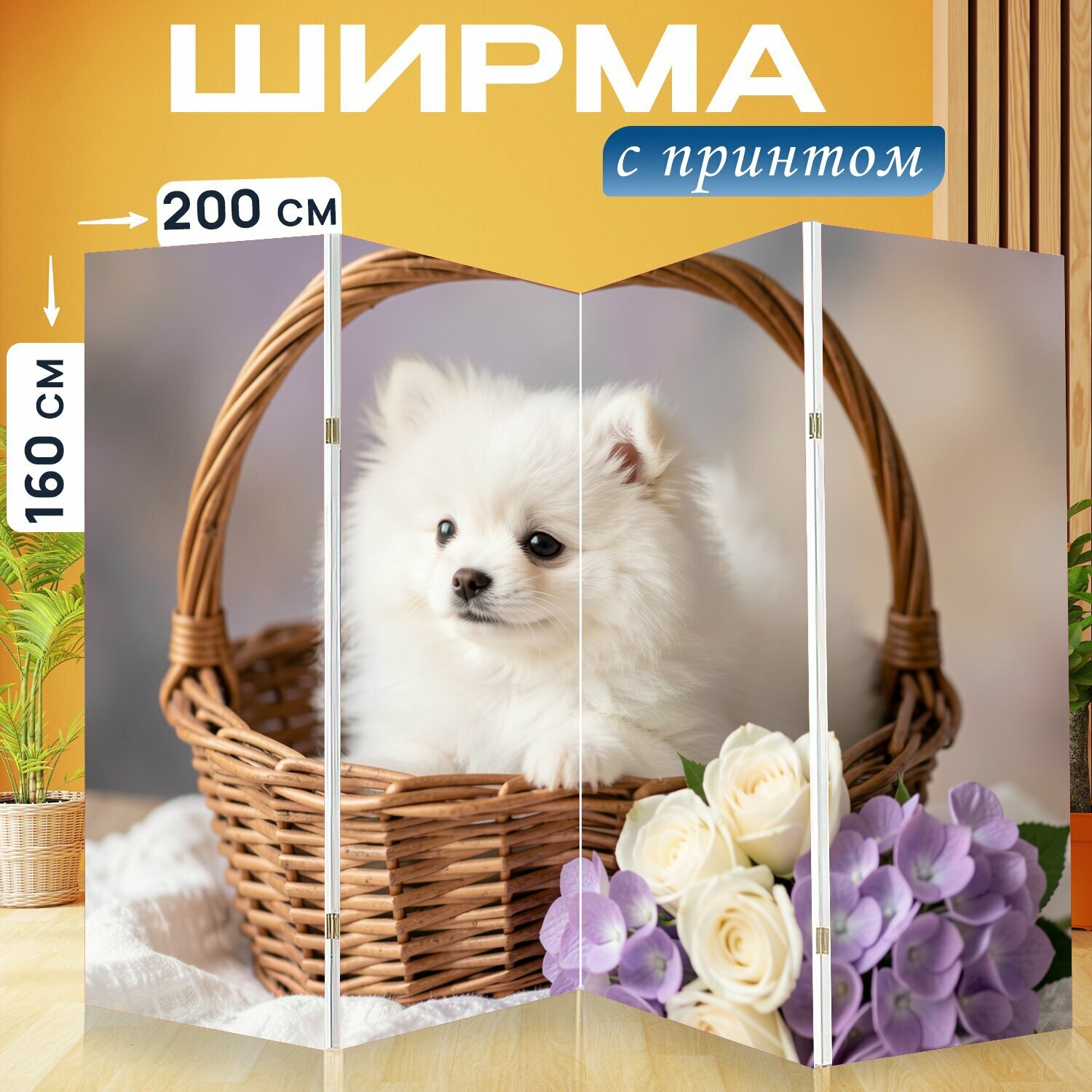 Ширма "Белый щенок в корзине с цветами. Нежный пушистый питомец в плетёной корзинке среди кремовых роз и." перегородка для зонирования комнаты с принтом 200x160 см. на холсте