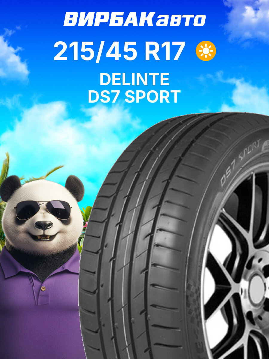 Летние шины DELINTE DS7 SPORT 215/45 R17 91Y, летняя автомобильная резина
