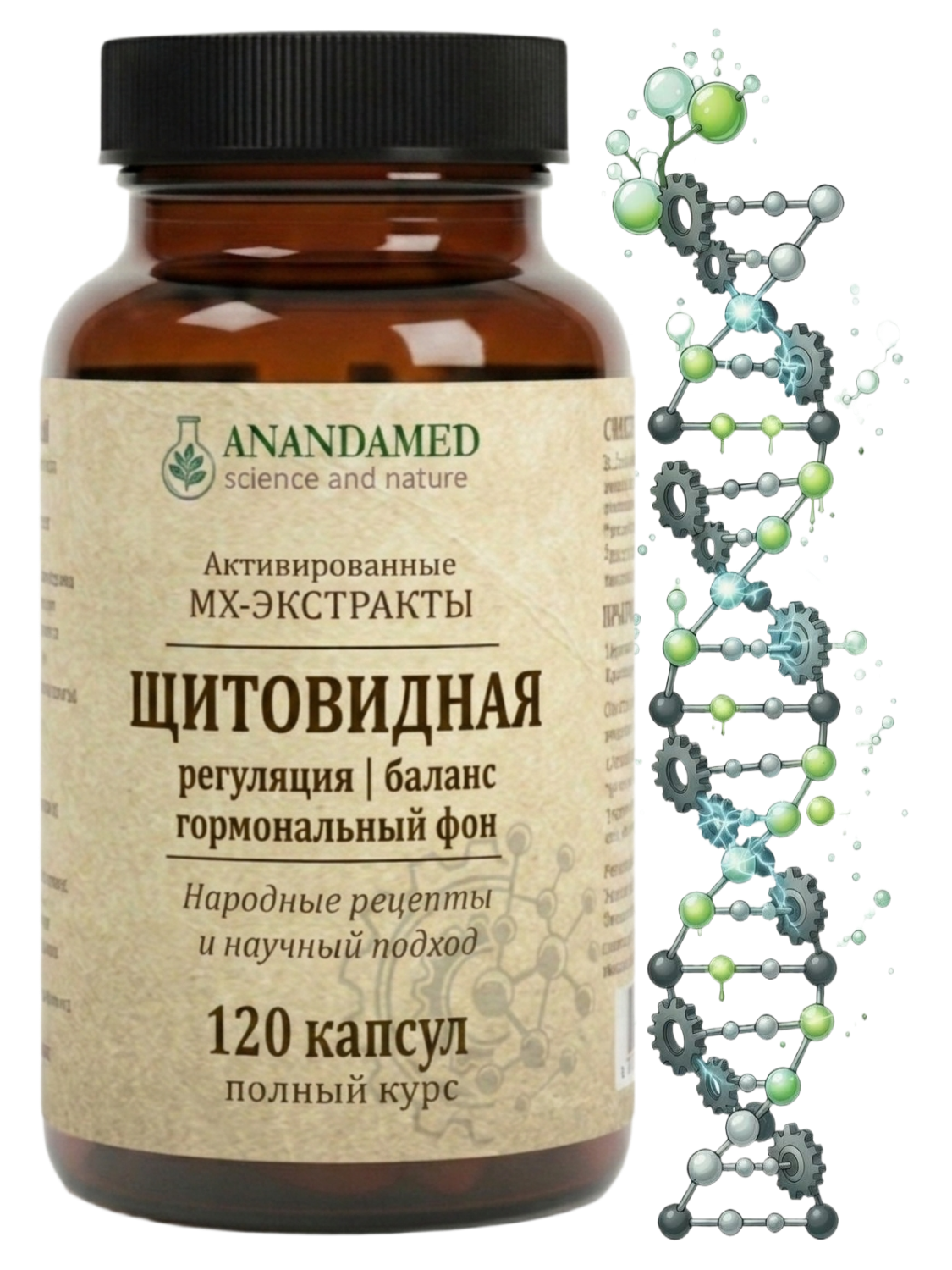 Щитовидная, Регуляция и Гормональный фон, 120 капсул, АнандаМед