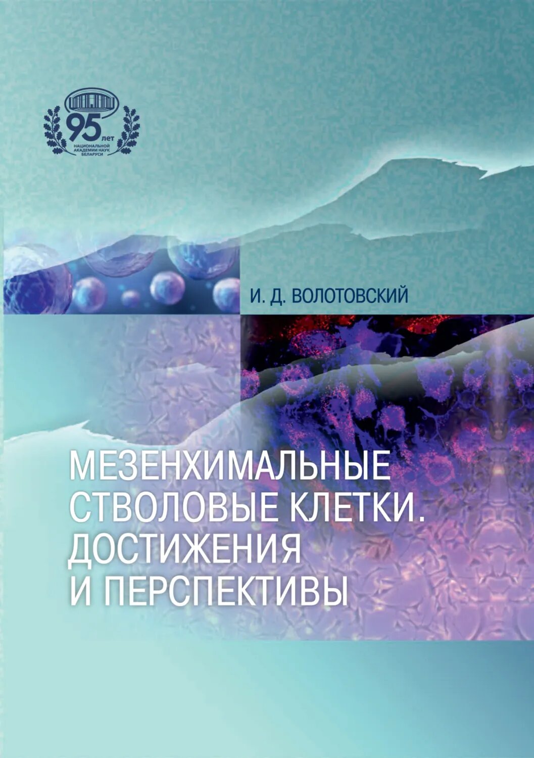 Мезенхимальные стволовые клетки. Достижения и перспективы [Цифровая книга]