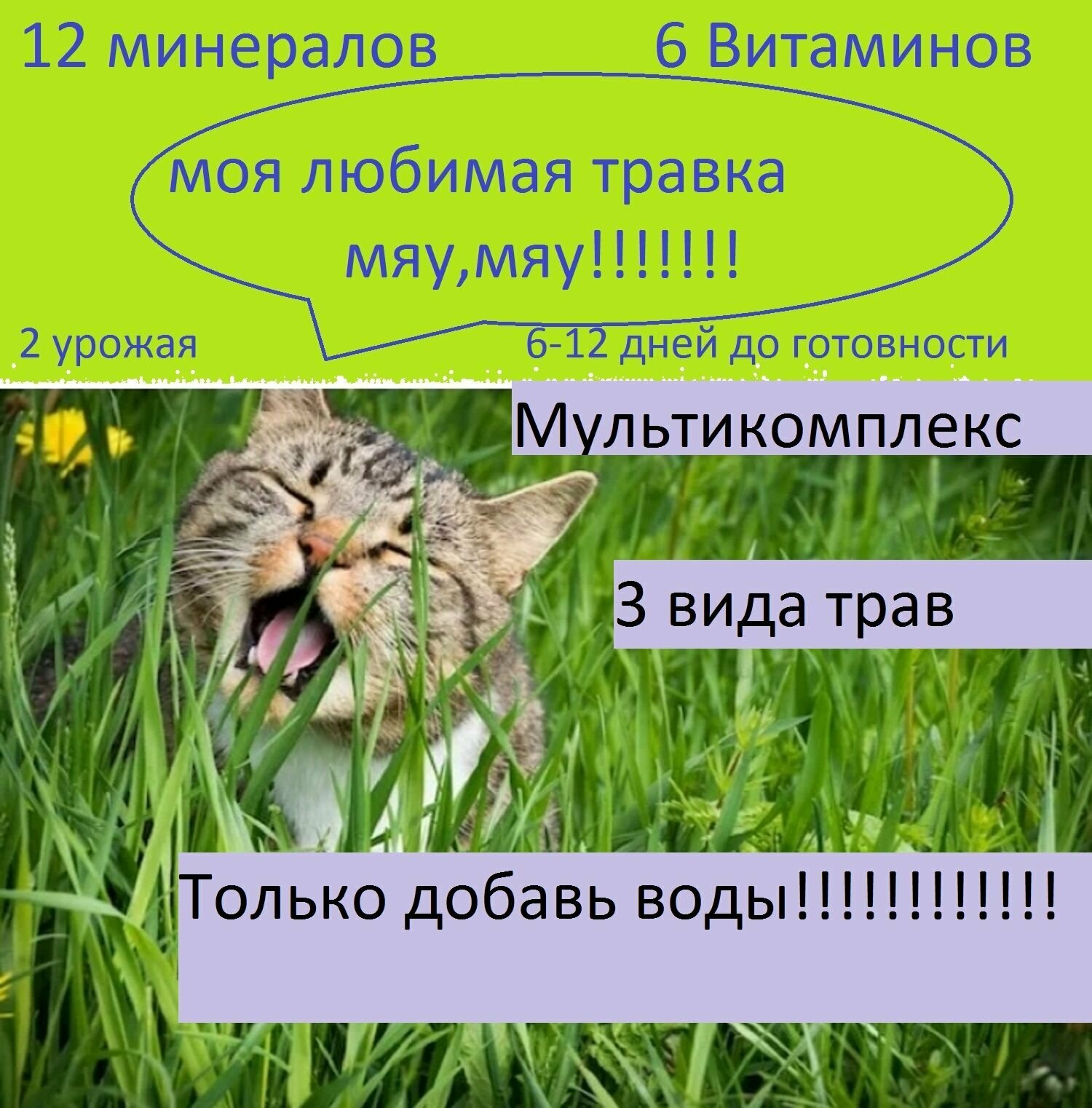 Трава для питомцев (набор для выращивания с Суздальской земли)