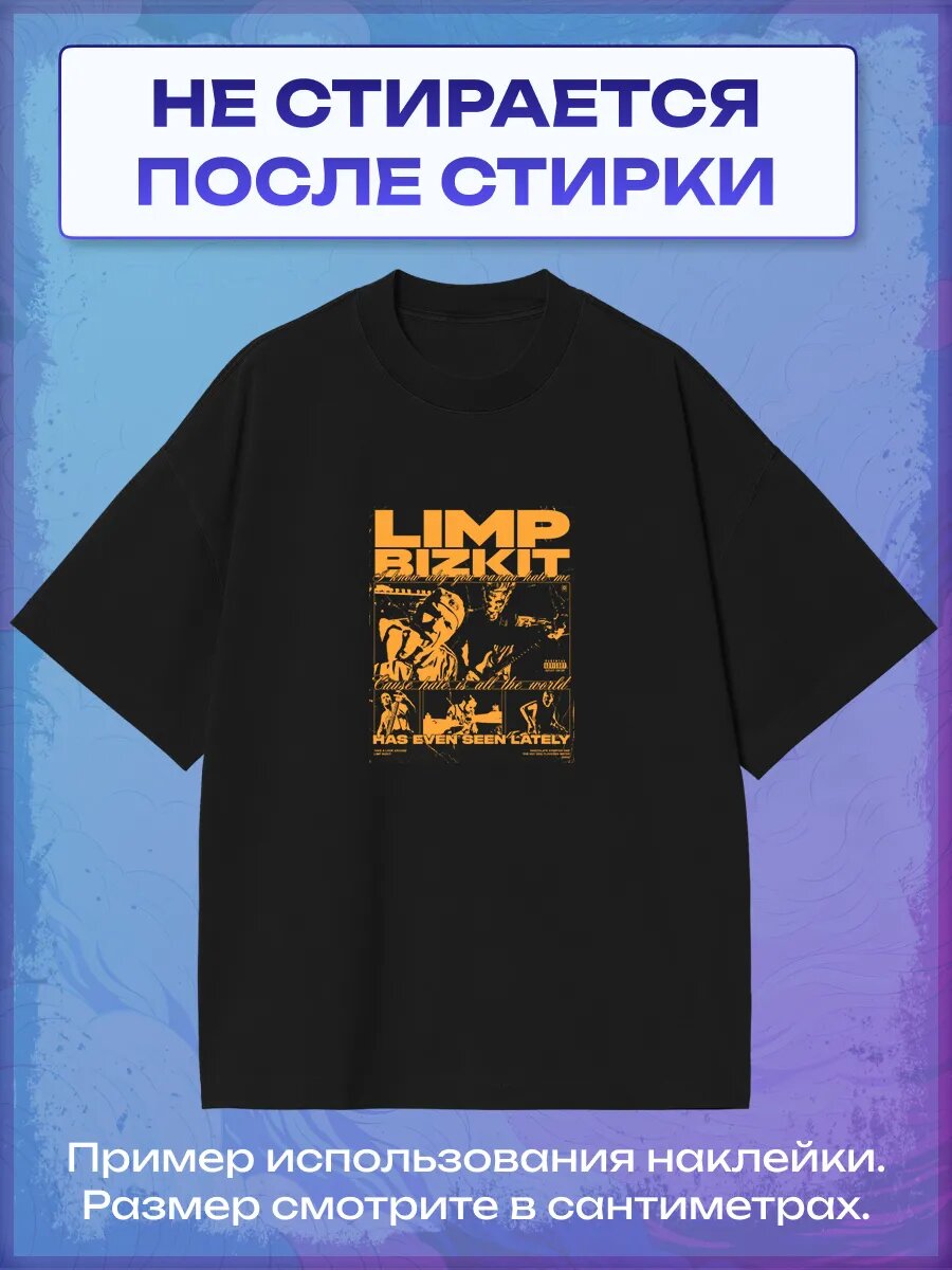 Термонаклейка limpbizkit — фото 1