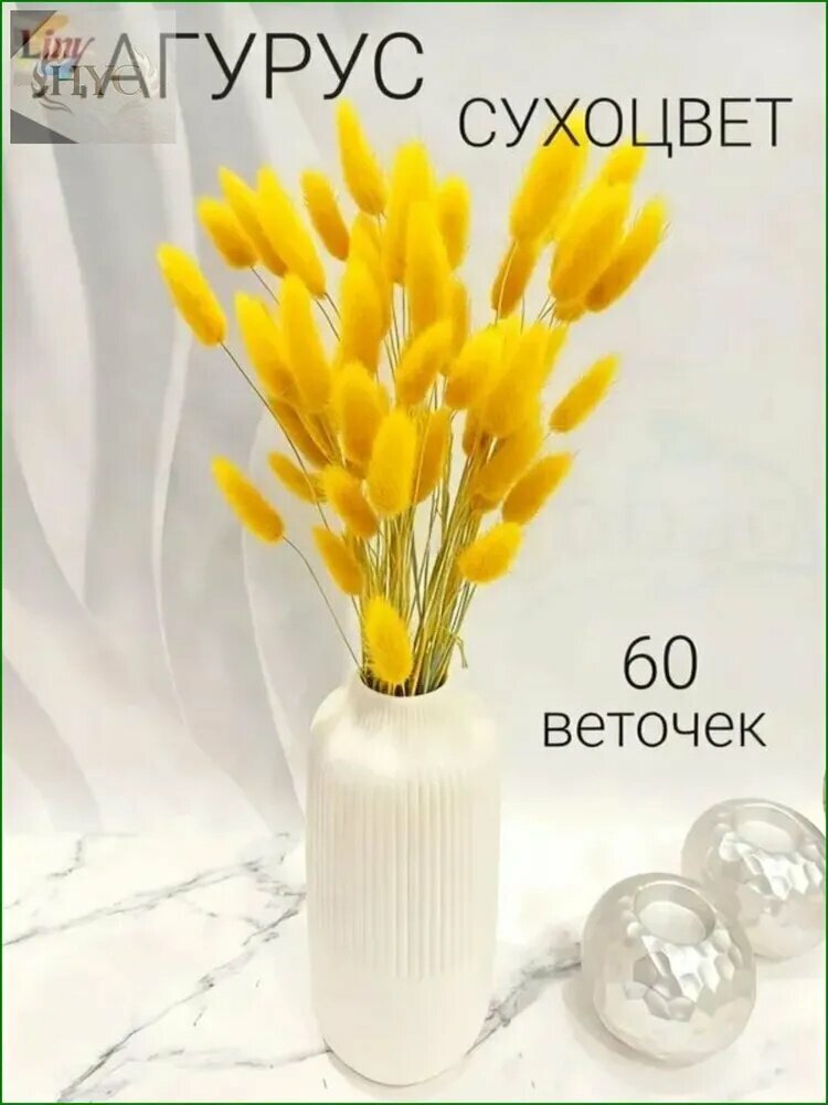 Сухоцветы Лагурус, 55 см, 100 гр, 60 шт