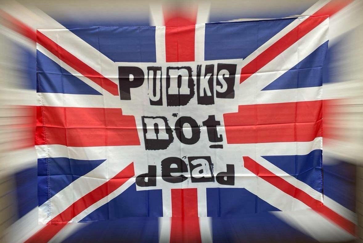 Флаг с принтом группа Punks Not Dead — фото 1