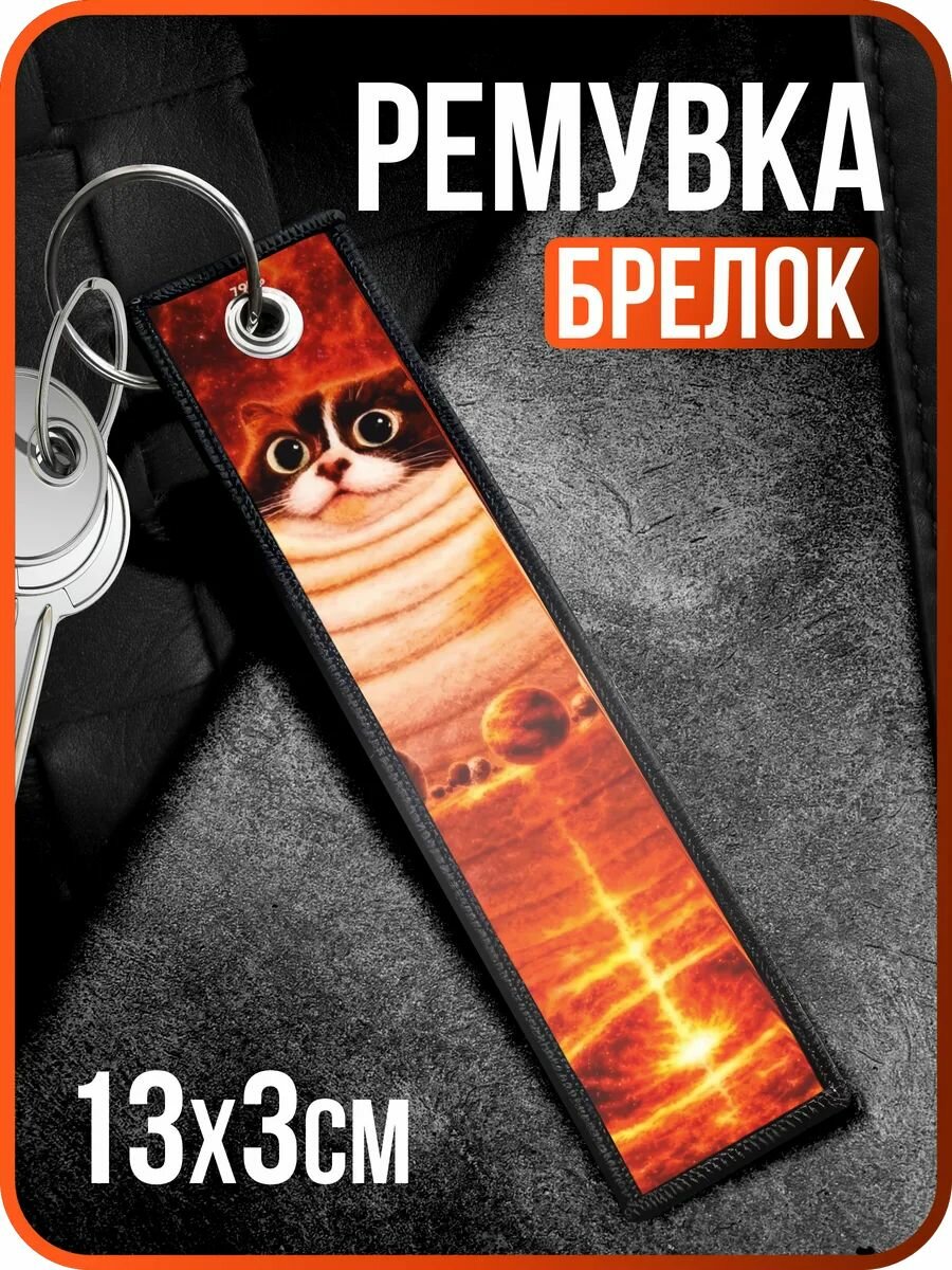 Брелок ремувка Котость мем