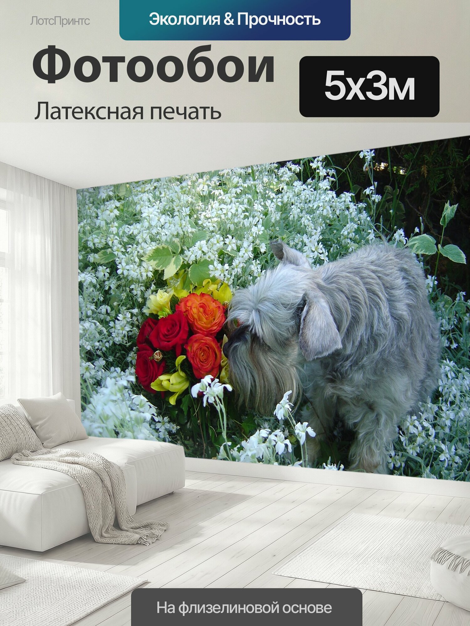 Фотообои моющиеся ударопрочные "Шнауцер нюхает цветы, собака в саду, собака нюхает цветы" 500x300 см. латексная печать