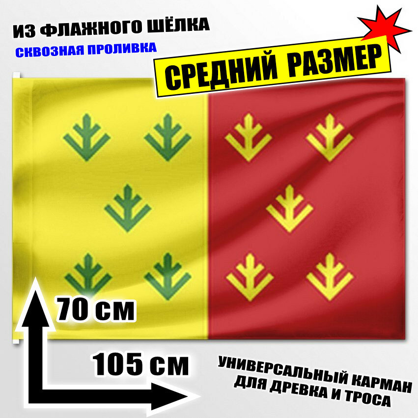 Флаг средний Сойгинского сельского поселения 105x70 см