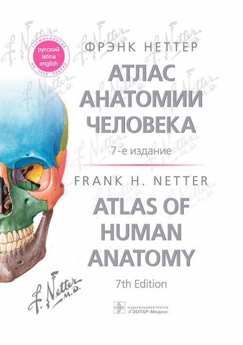 Книга: Атлас анатомии человека Неттера. Учебник на русском, латинском и английском языках для студентов медицинских вузов: Как устроено тело, его строение, что внутри. Литература для врачей