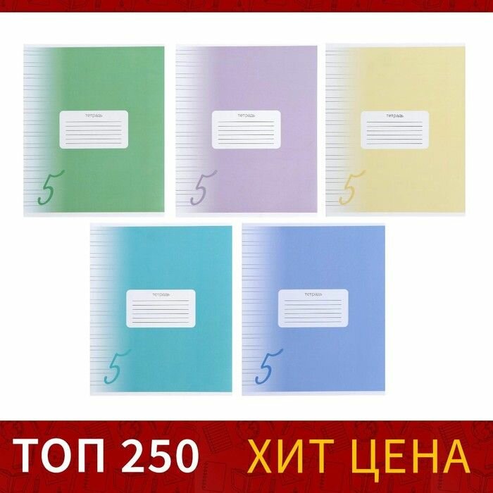 Тетрадь 12 листов в узкую линию Calligrata "Пятёрка", обложка мелованный картон, ВД-лак, блок офсет, белизна 95%,