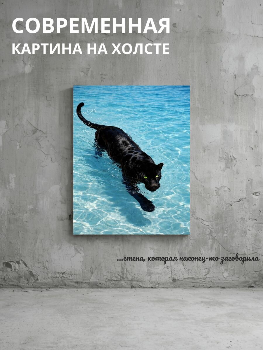 Картина на холсте Черная пантера 30x40 см