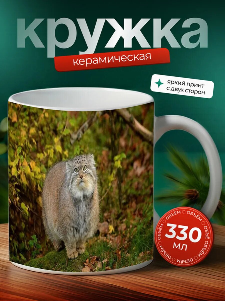 Кружка Ильменский гранат кот 28,