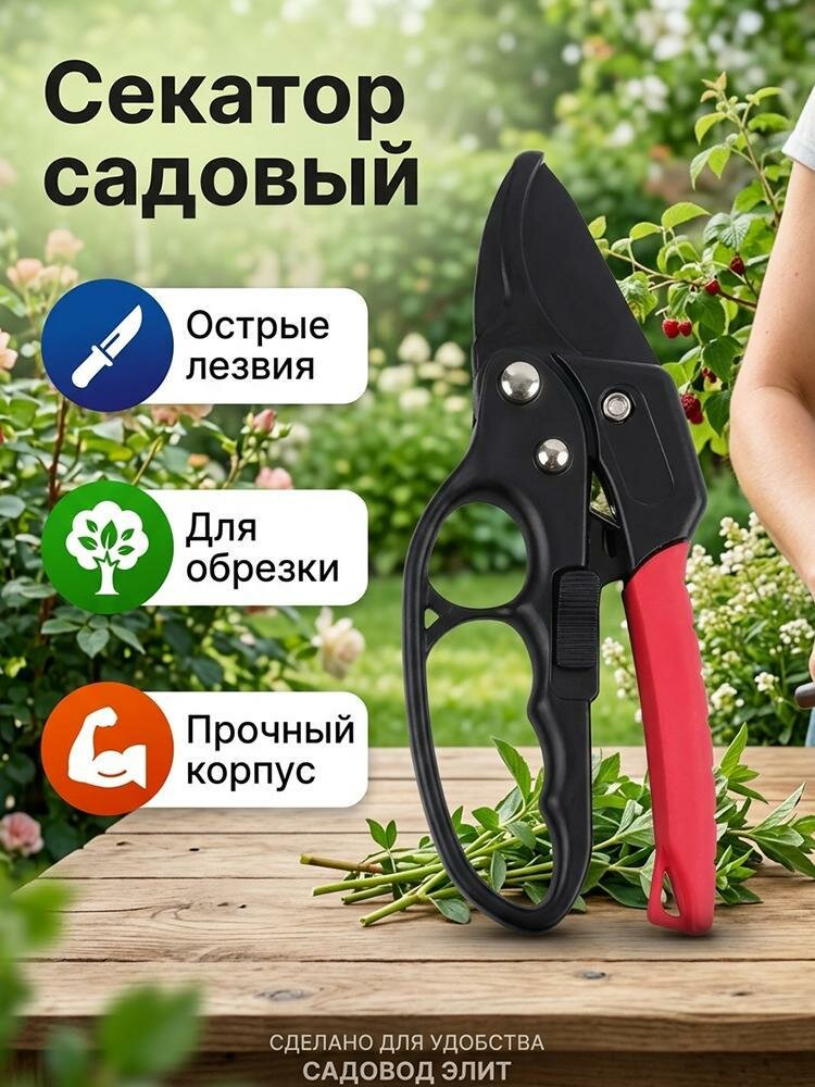 Садовые секаторы