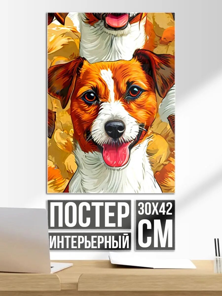 Постер на стену Джек Рассел терьеры