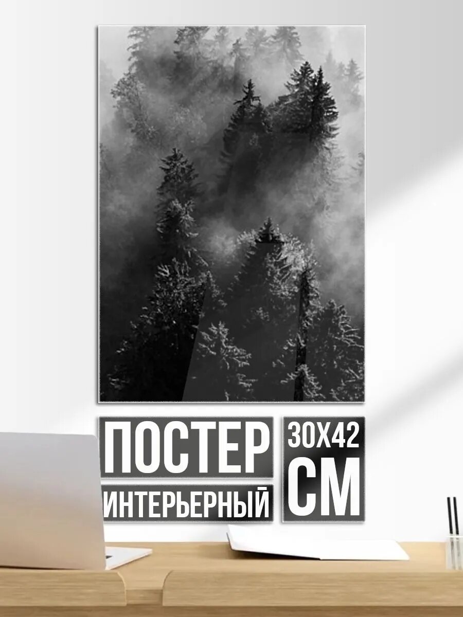 Постер на стену Мрачный лес forest