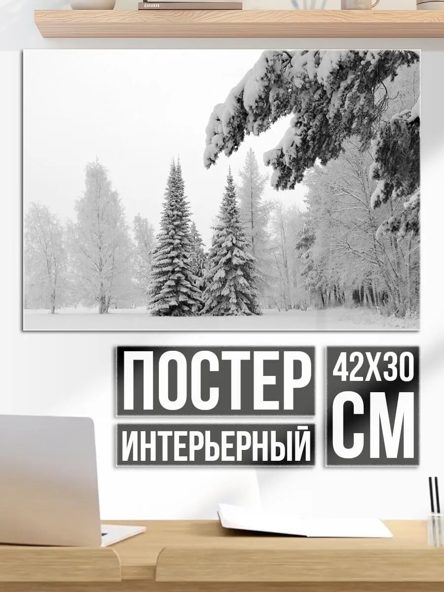 Плакат постер Зимний лес снег