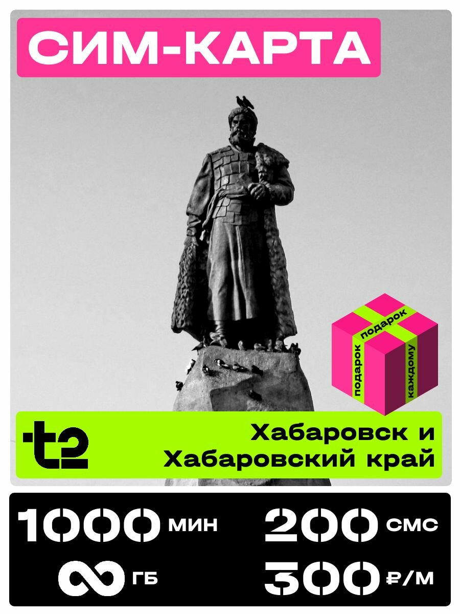 Сим карта теле 2 с безлимитным интернетом. t2 SIM-карта тариф Партнер М Хабаровский край. 1000 минут за 300 рублей в месяц.