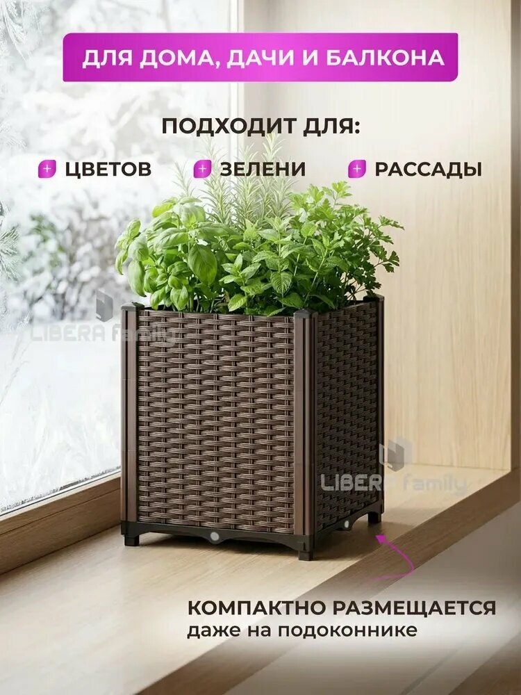 Грядка — фото 1