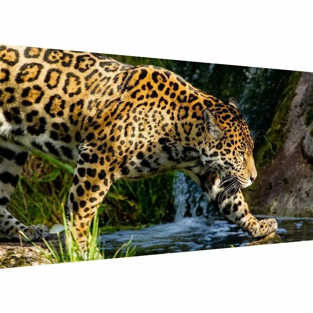 140X50 CM/Алмазная мозаика "гепард" / Алмазная вышивка / Круглая картина стразами Полная выкладка